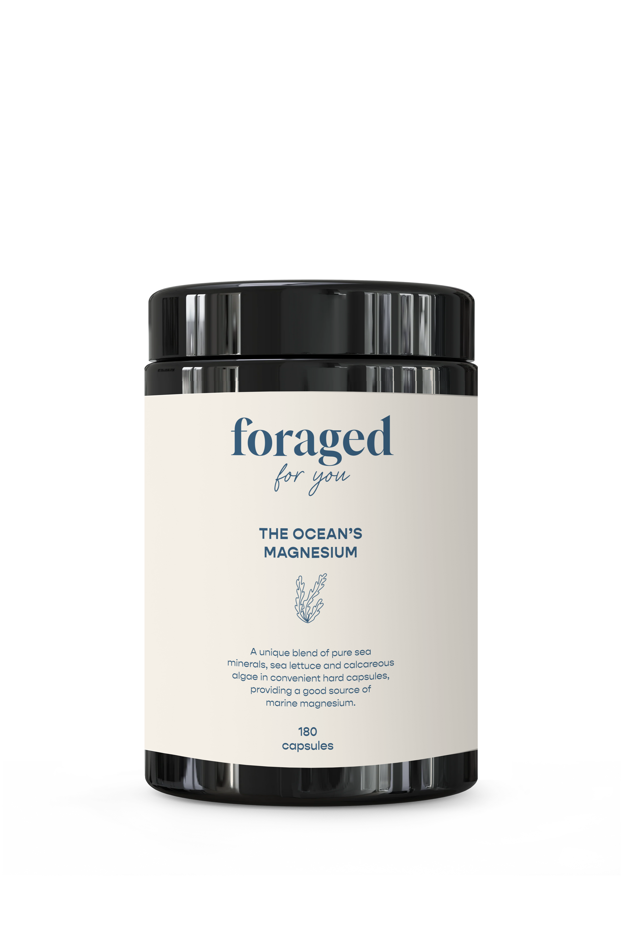 Our Products | Front page | Foraged For You Store
