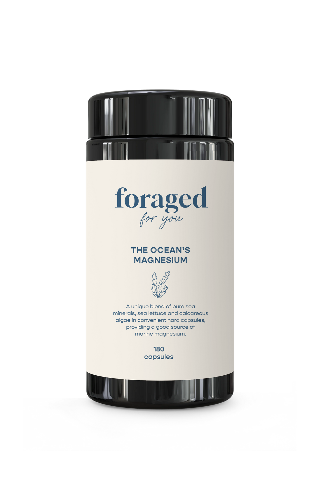 Our Products | Front page | Foraged For You Store